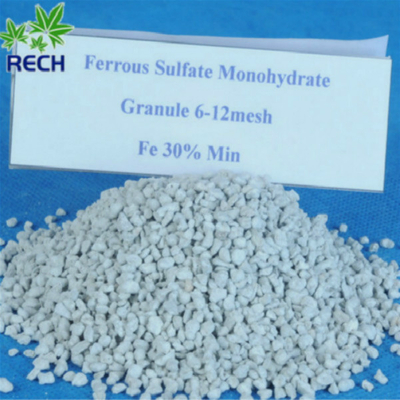 Industry Grade Ferrous Sulphate Monohydrate 91% FeSO4.H2O - Rech Chemical Co. LTD